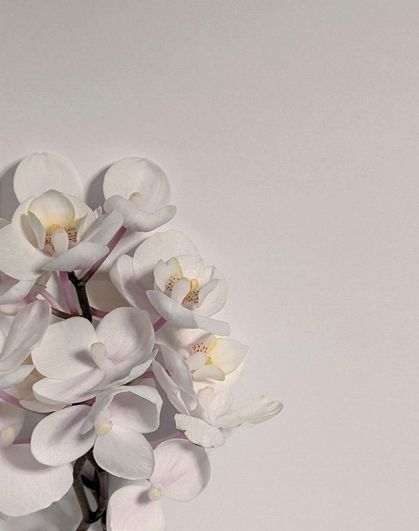 Important Message: Beware of Fake Ad Featuring Dr. Hyman – Mark Hyman, MD