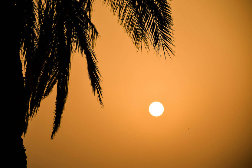 The Toxic Triad: How Big Food, Big Farming, and Big Pharma Spread Obes ...