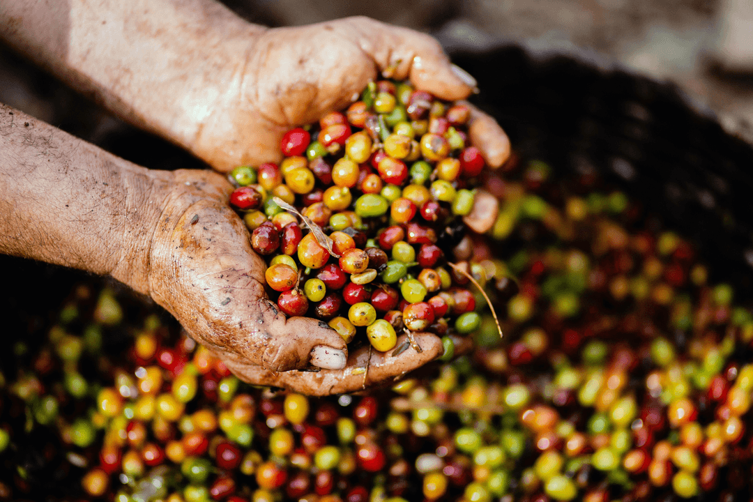 Food Fix – Mark Hyman, MD