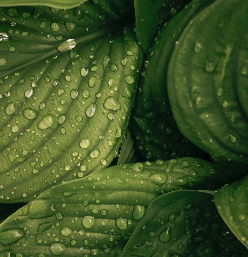 Food Fix – Mark Hyman, MD